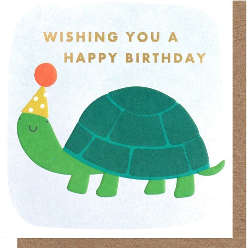 Caroline Gardner Tortoise Birthday Card (6) - Compare Prices & Where To ...