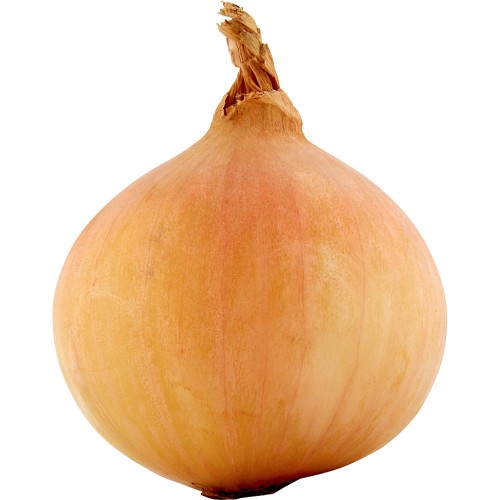 Co-op Onions Loose - Compare Prices & Where To Buy - Trolley.co.uk